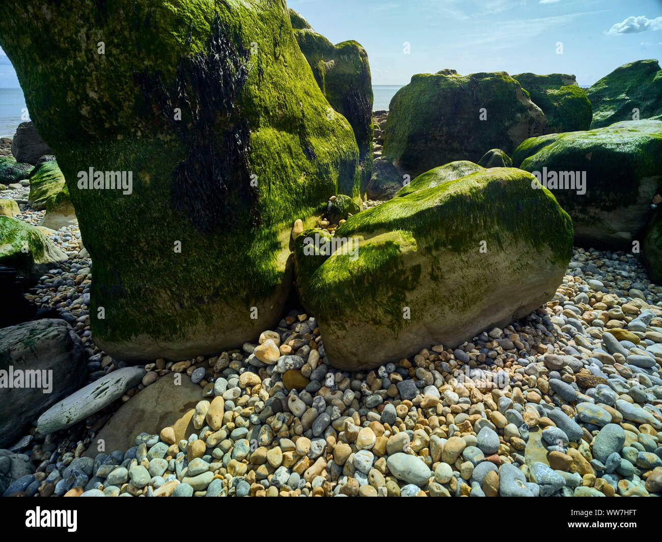 Beach abstract with pebbles and rocks on the south coast of England ...
