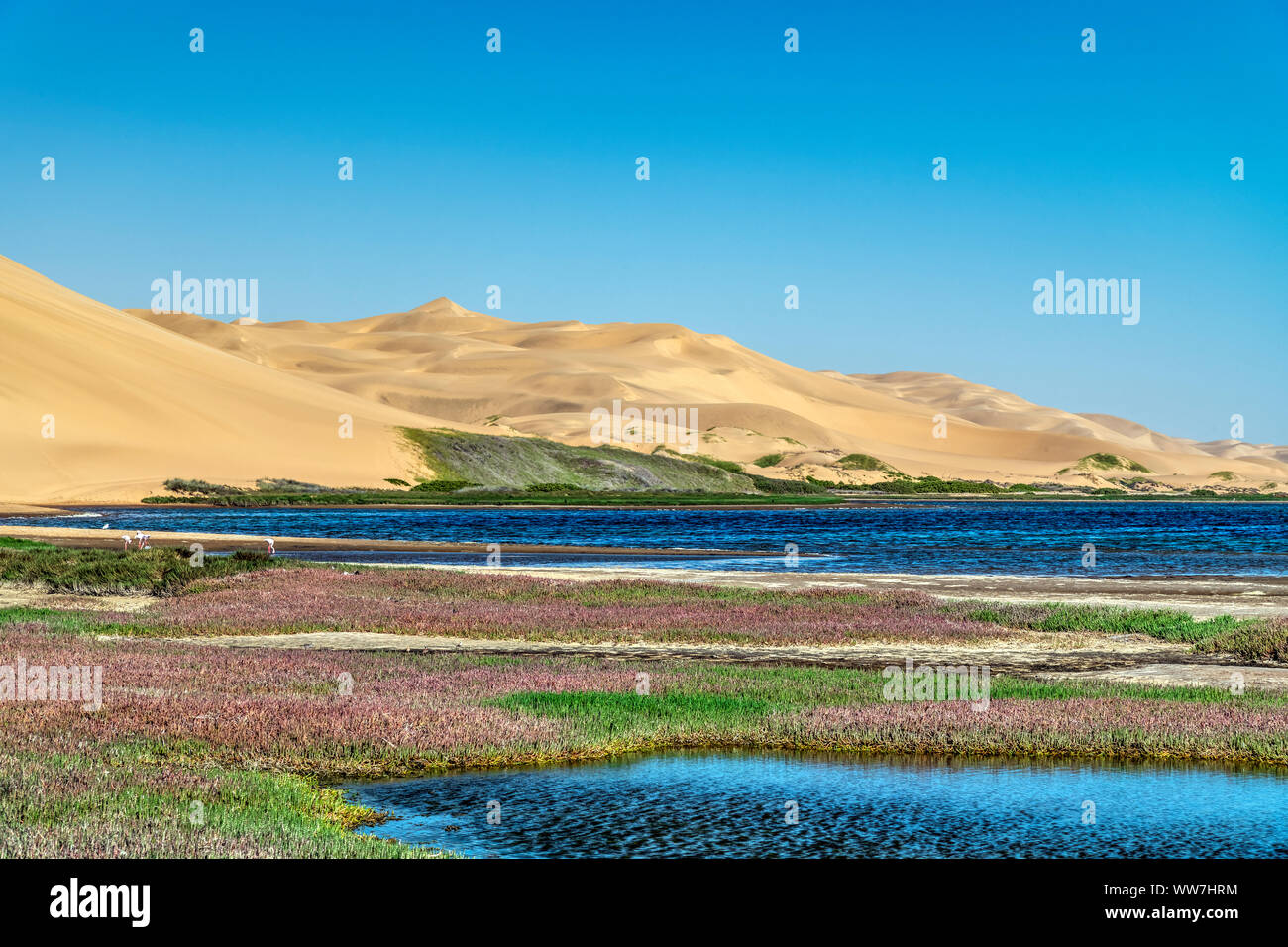 Sandwich harbour namibia hi-res stock photography and images - Alamy