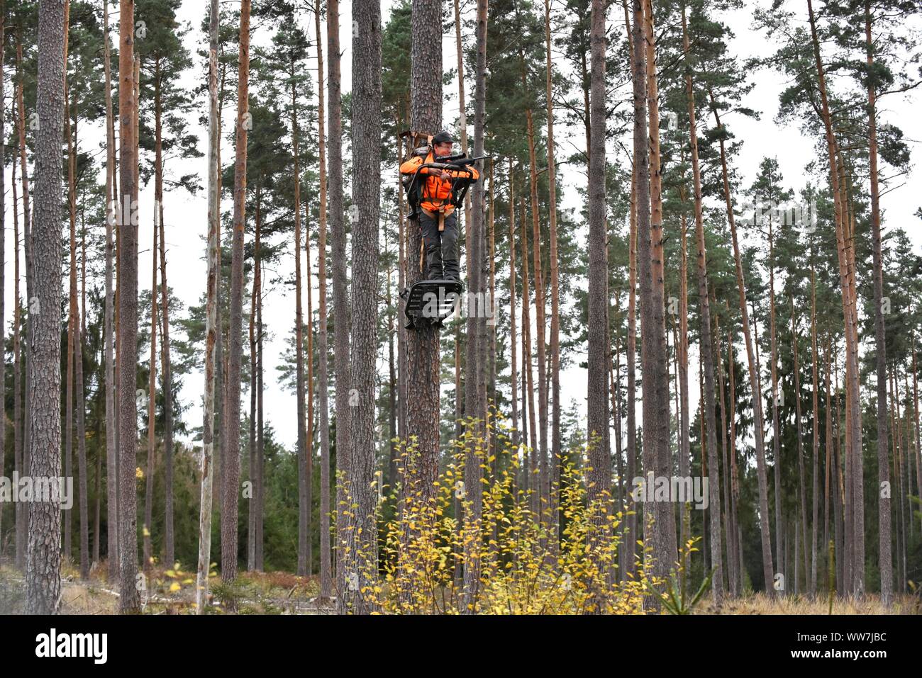 Hunt seat hi-res stock photography and images - Alamy