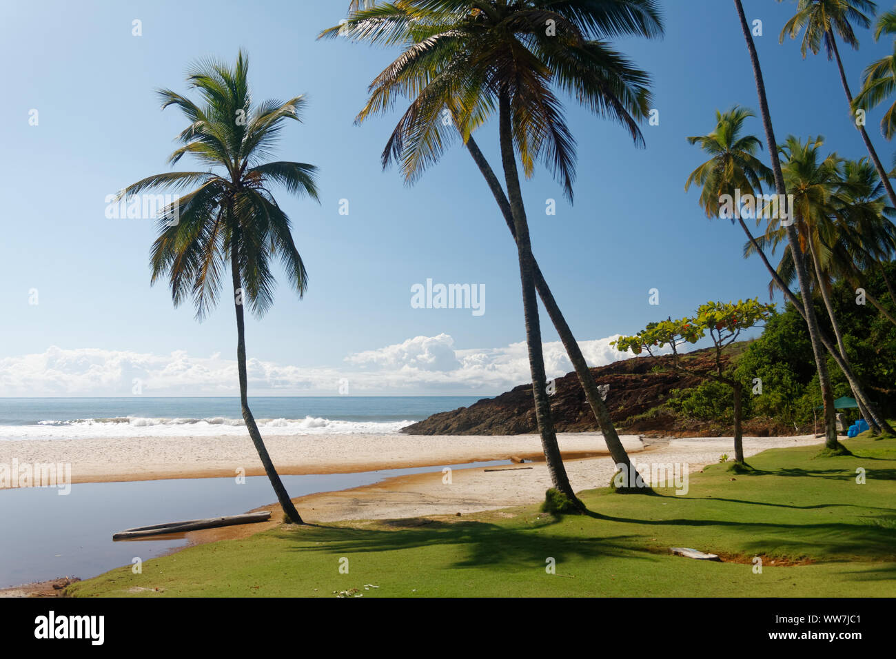Tropical beach in Brazil Stock Photo - Alamy