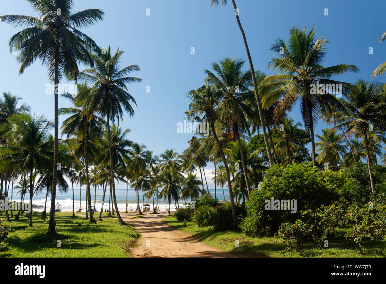 Tropical beach in Brazil Stock Photo - Alamy