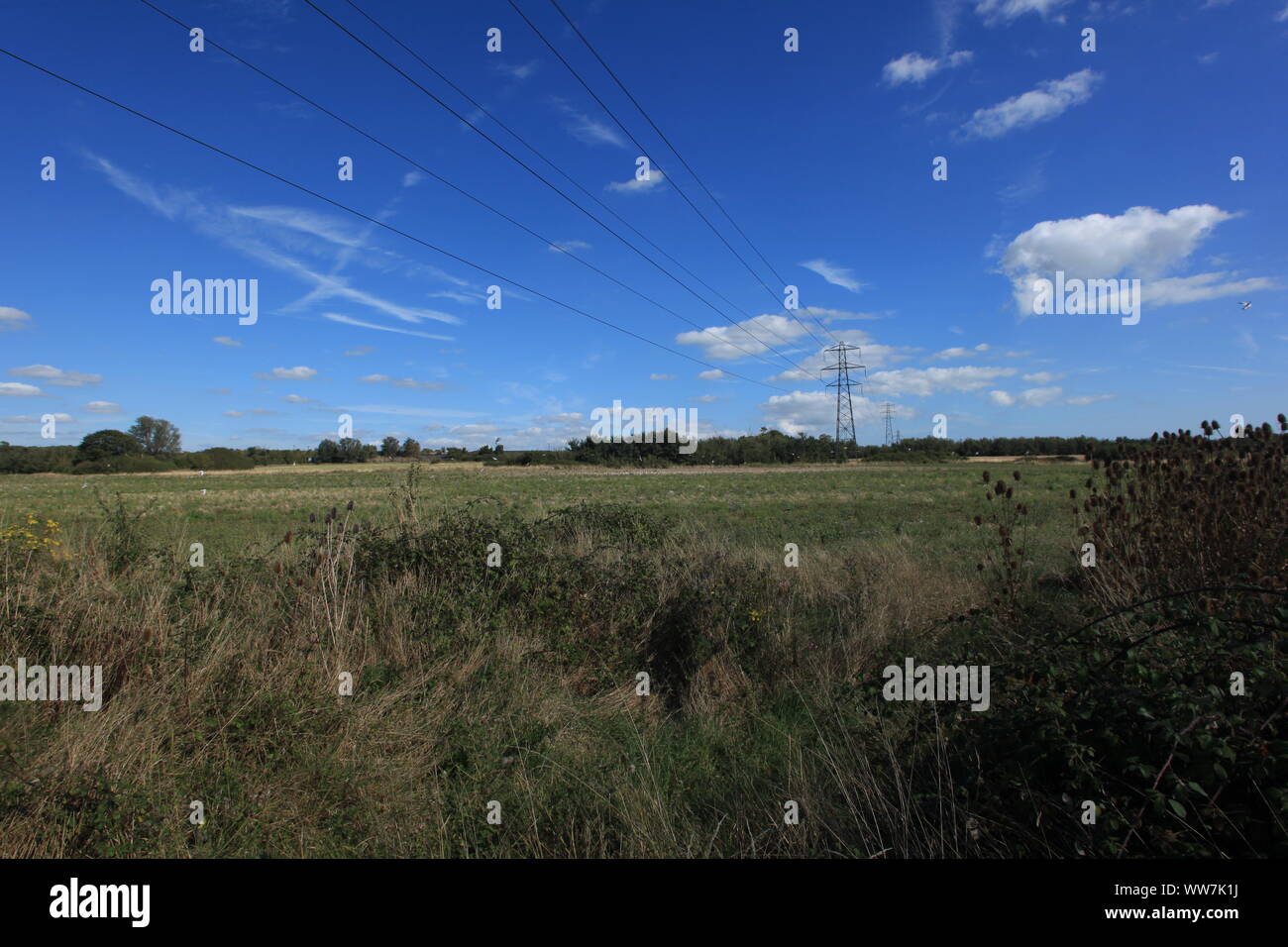 Rspb bowers marsh hi-res stock photography and images - Alamy