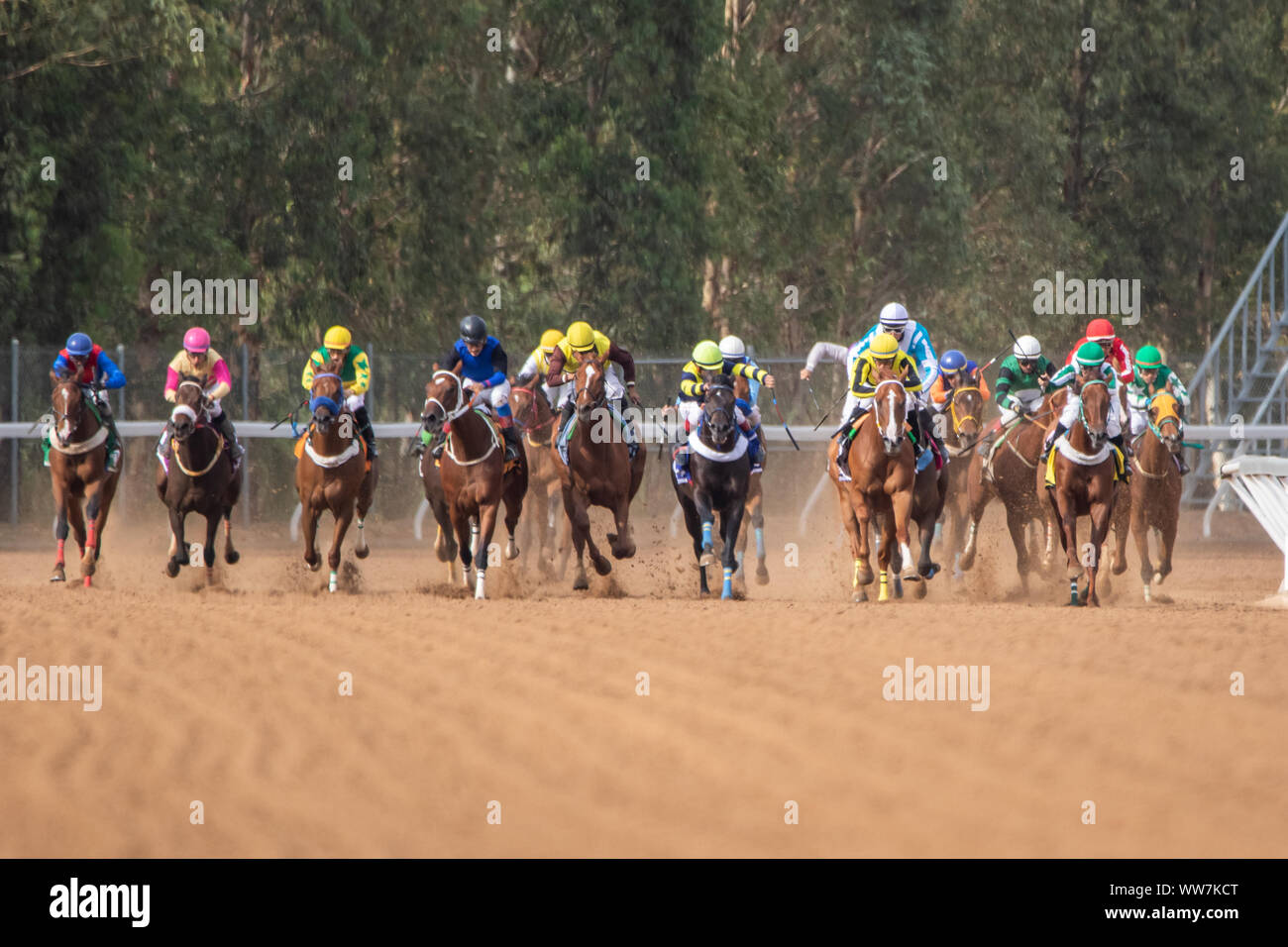 Horse racing at King Khlid Racetrack, Taif, Saudi Arabia 14/06/2019 ...