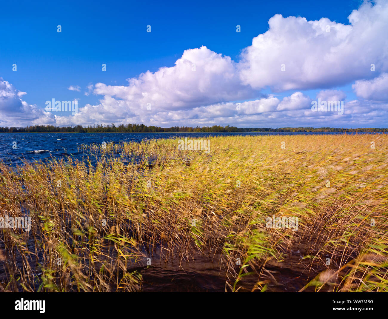 Sweden, Smaland, Ljungby, autumn at Lake Bolmen Stock Photo - Alamy