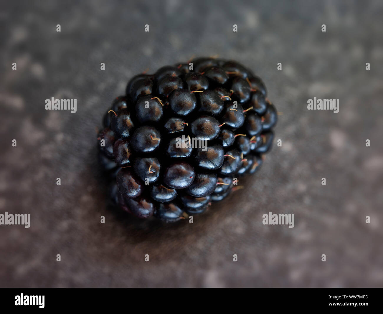 Blackberry close-up fruit food portrait Stock Photo - Alamy