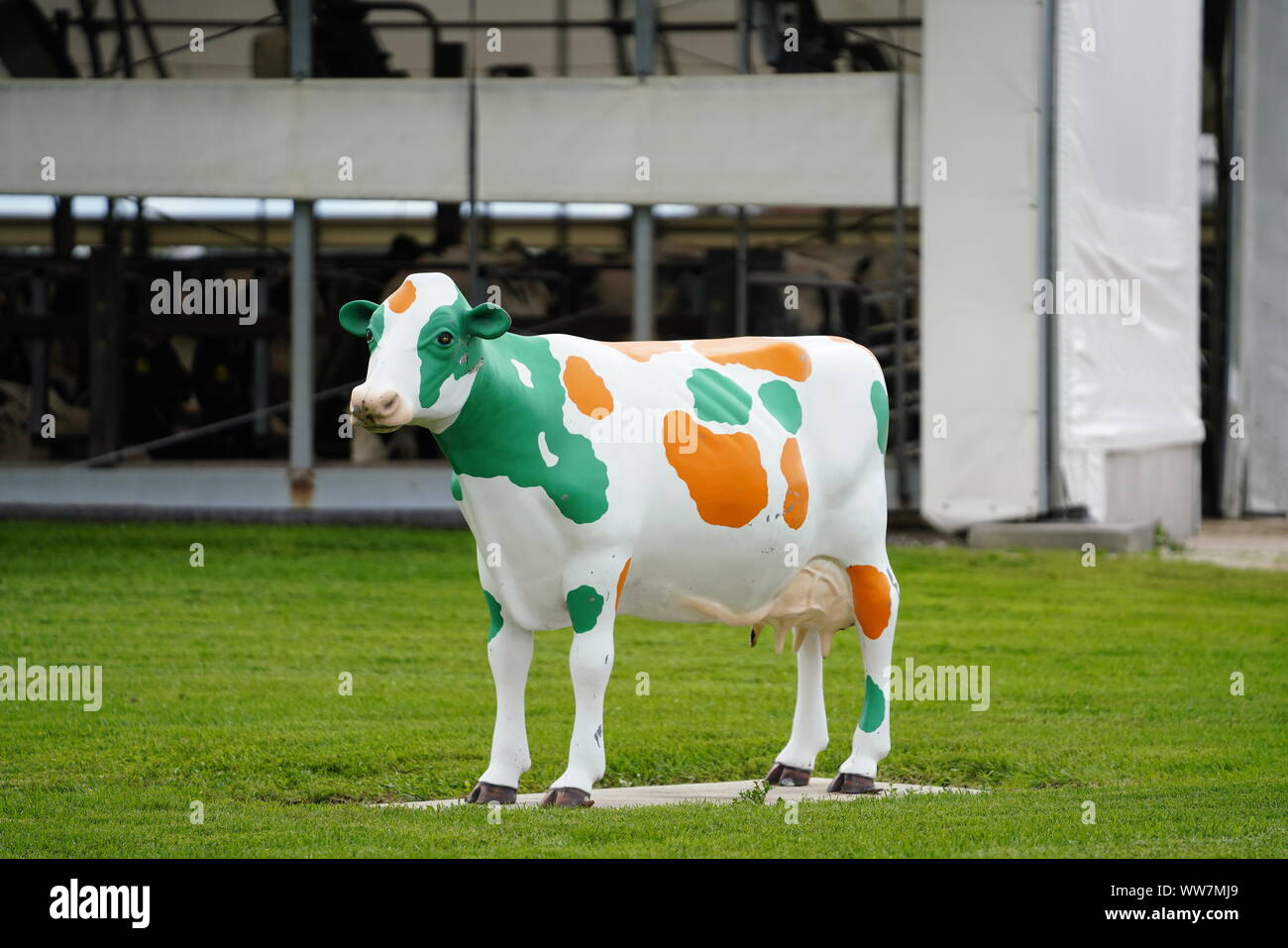 Cow Statue at Abel Dairy Farm on county road UU outside of Eden ...