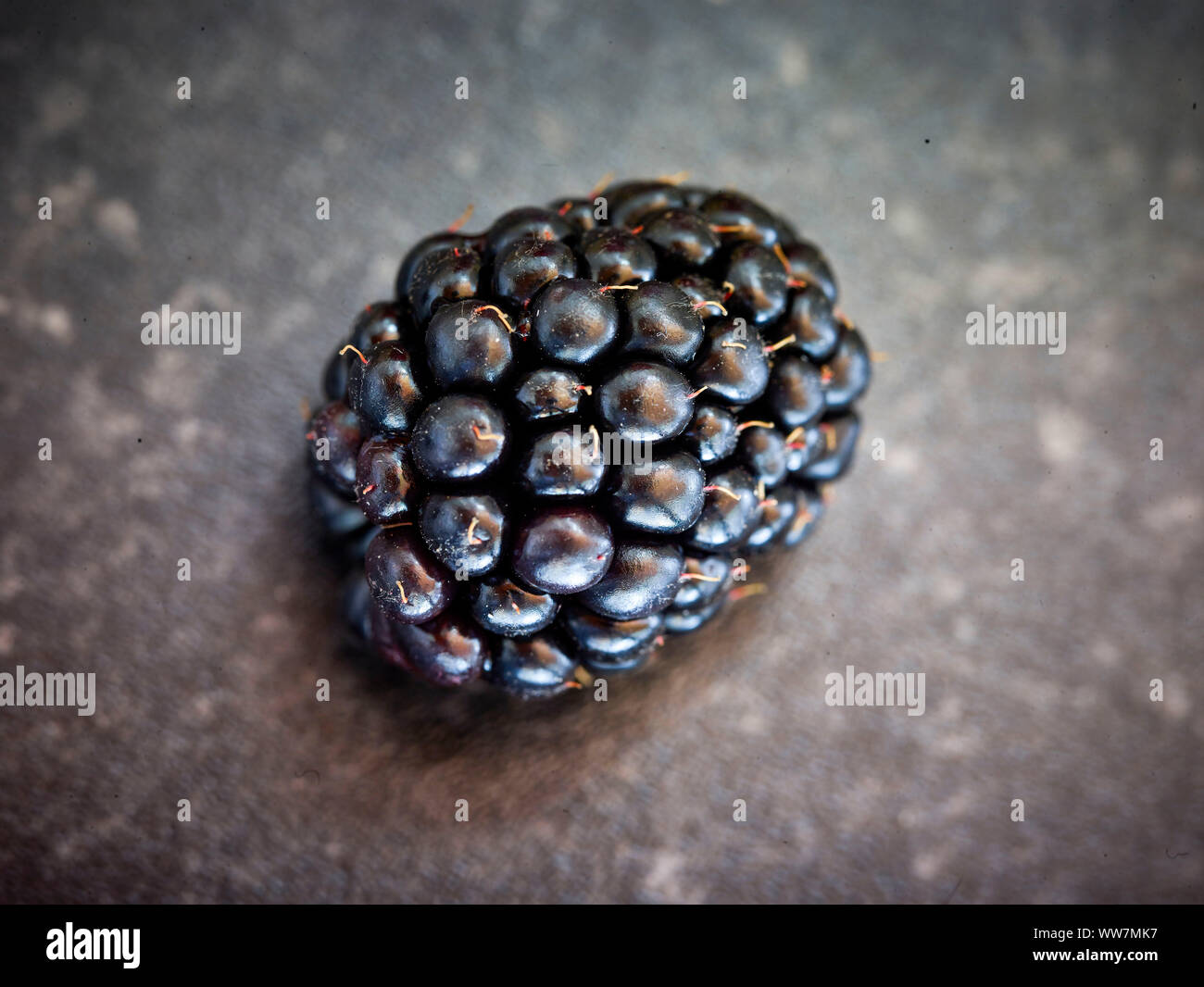 Blackberry close-up fruit food portrait Stock Photo - Alamy