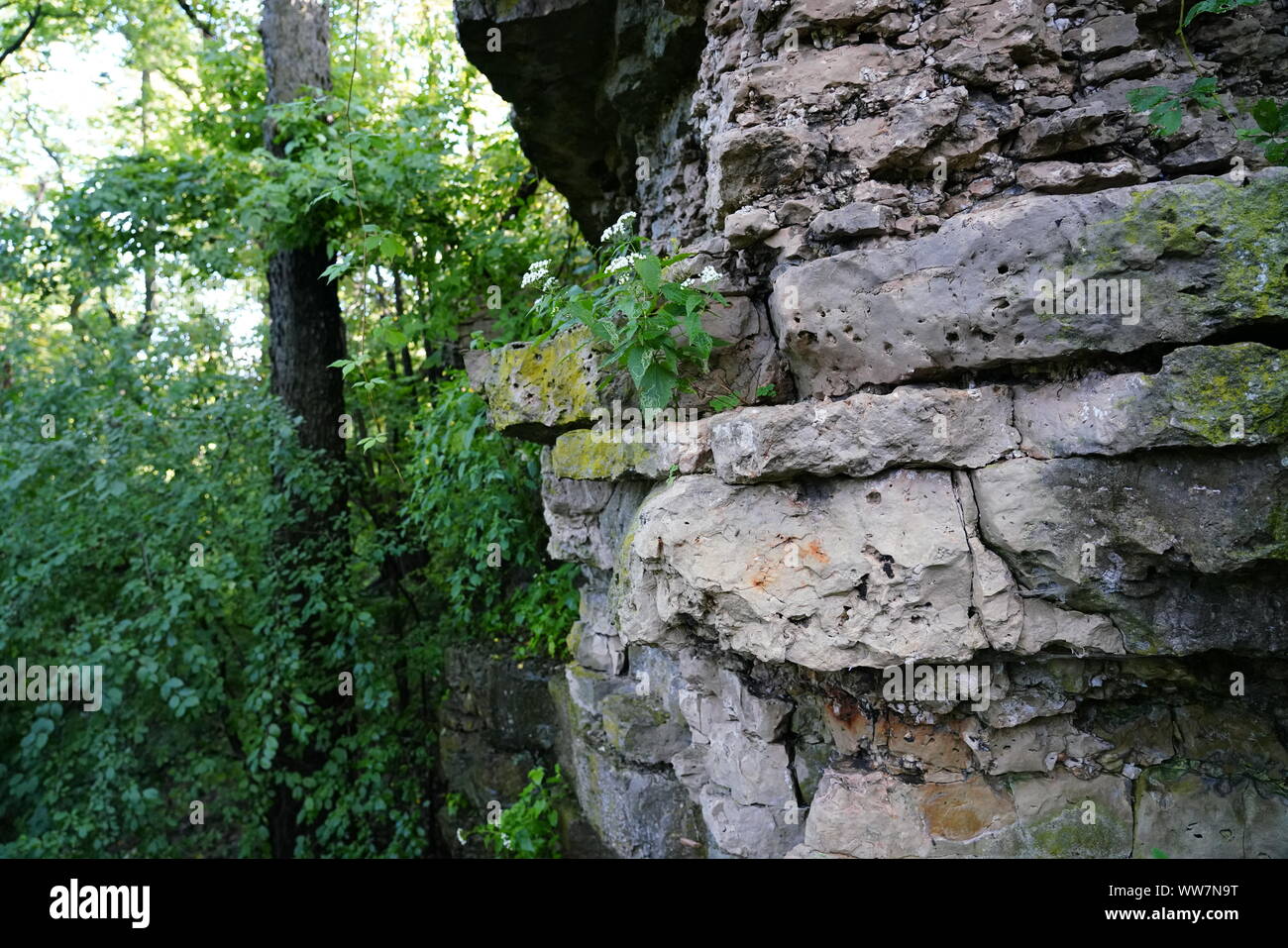Sherwood, Wisconsin: Landscape photos of High Cliff State Park Stock ...