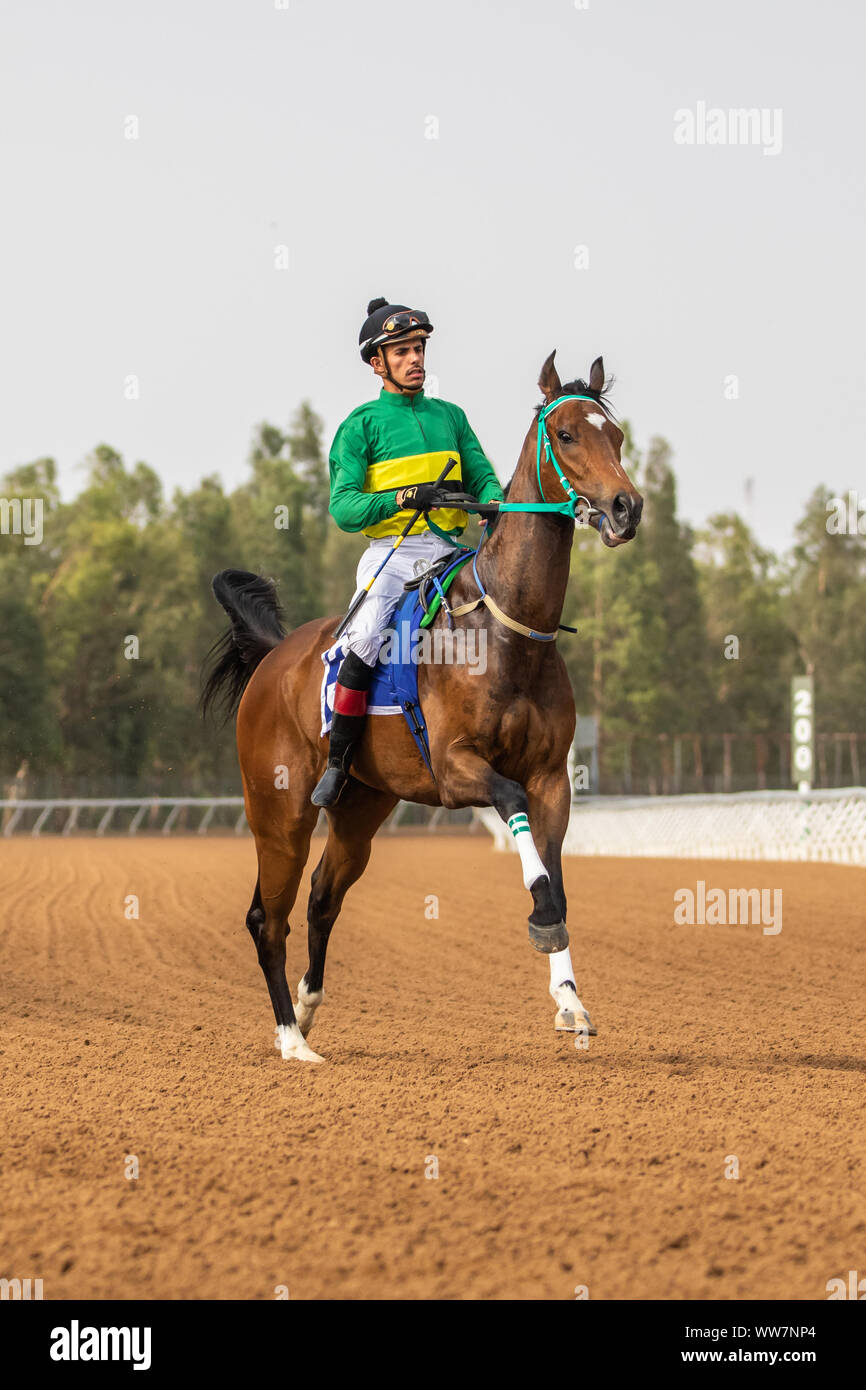 Horse racing at King Khlid Racetrack, Taif, Saudi Arabia 14/06/2019 ...