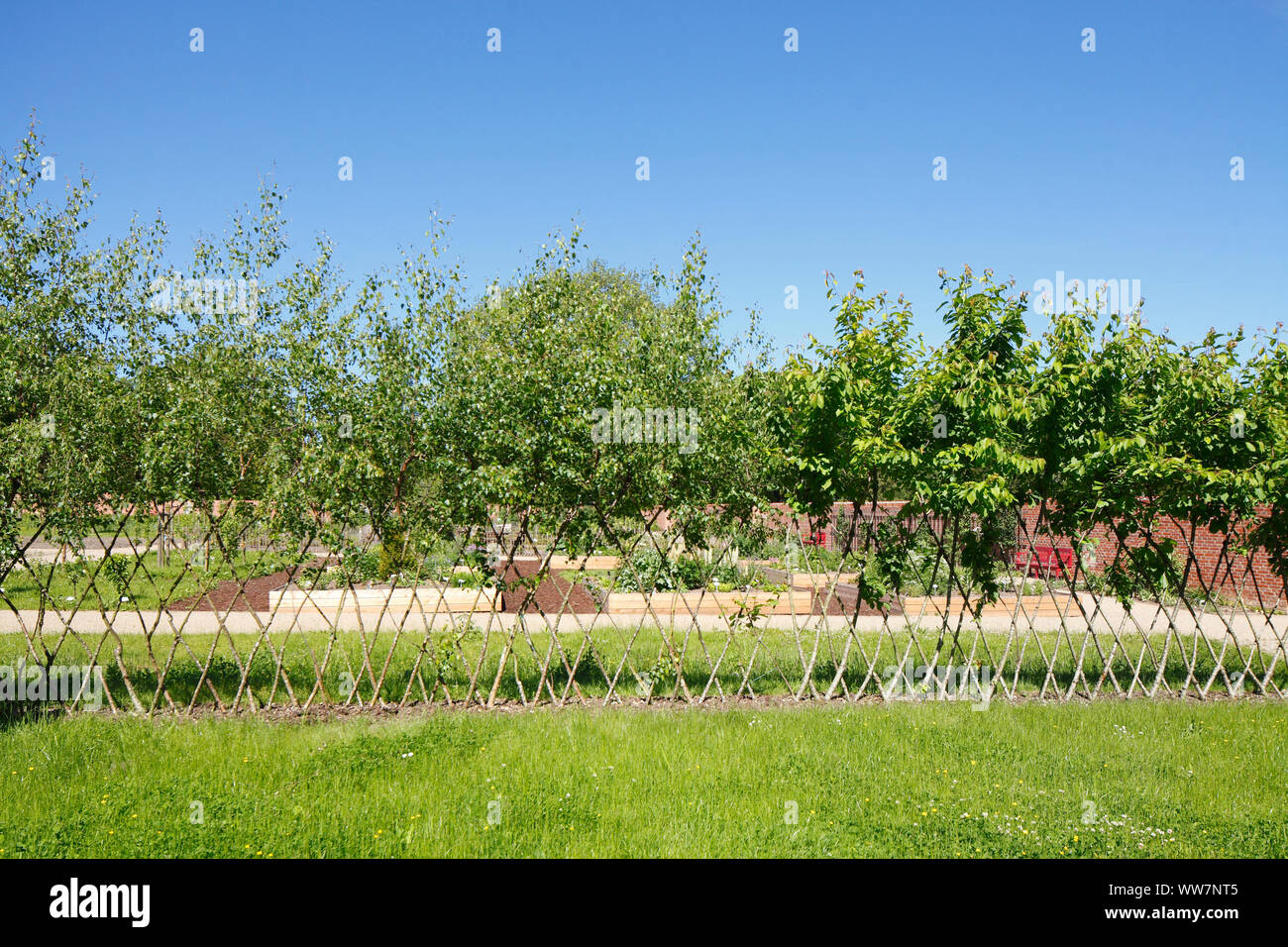 Mermaid castle hi-res stock photography and images - Alamy