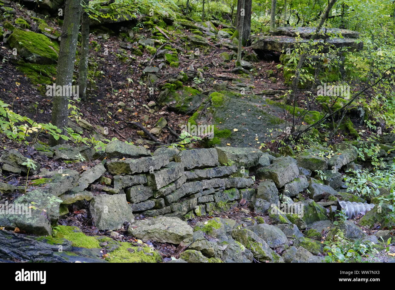 Sherwood, Wisconsin: Landscape photos of High Cliff State Park Stock ...