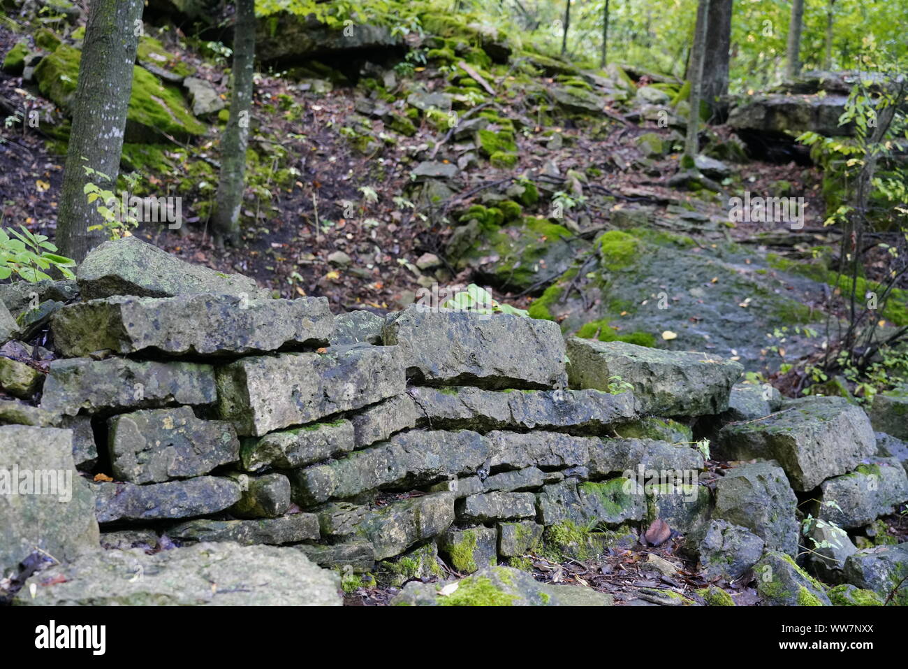 Sherwood, Wisconsin: Landscape photos of High Cliff State Park Stock ...