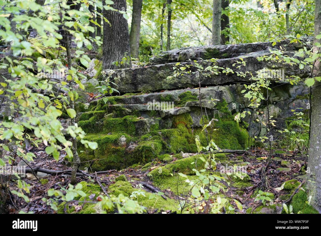 Sherwood, Wisconsin: Landscape photos of High Cliff State Park Stock ...