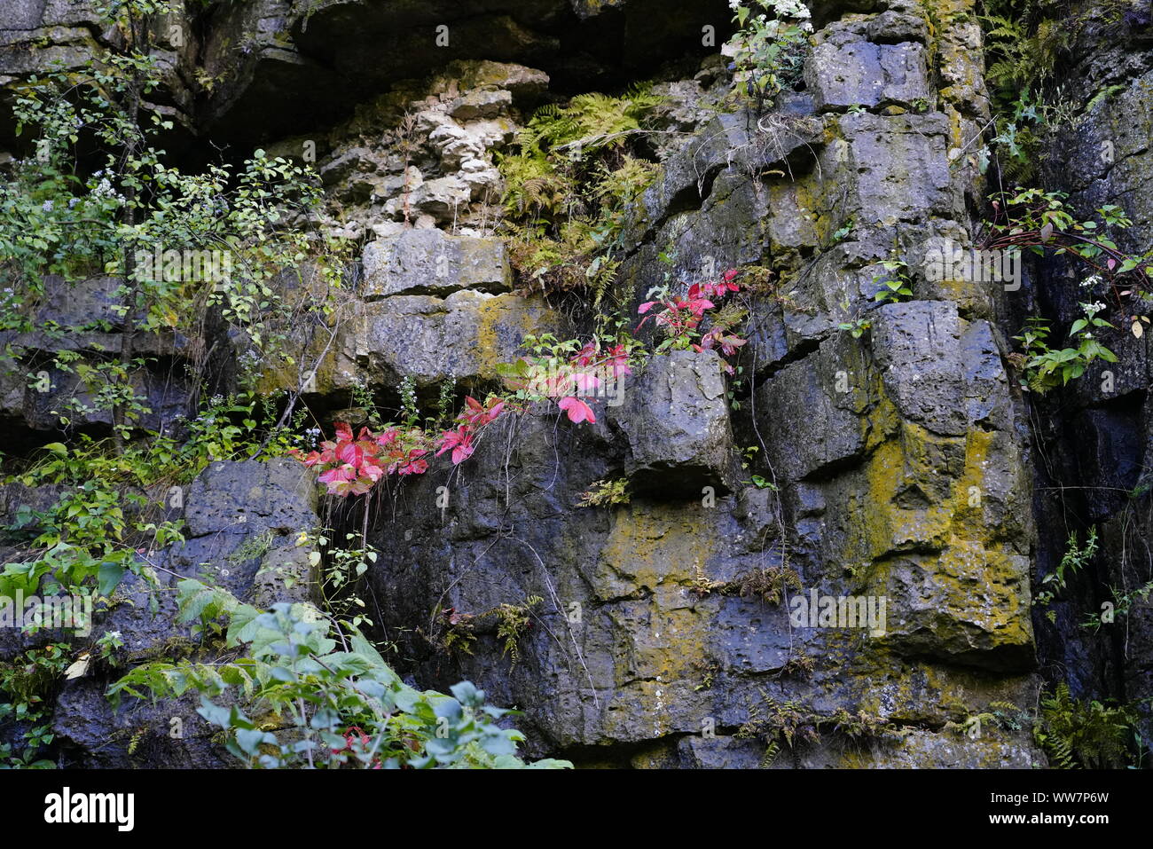 Sherwood, Wisconsin: Landscape photos of High Cliff State Park Stock ...