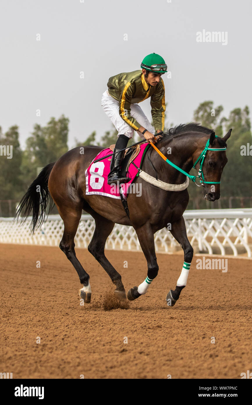 Horse racing at King Khlid Racetrack, Taif, Saudi Arabia 14/06/2019 ...