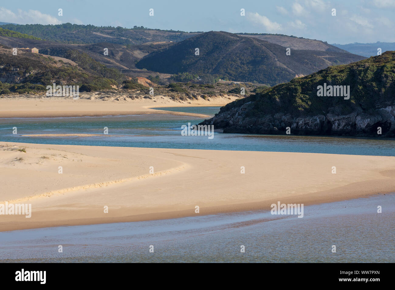 Amoreira hi-res stock photography and images - Alamy
