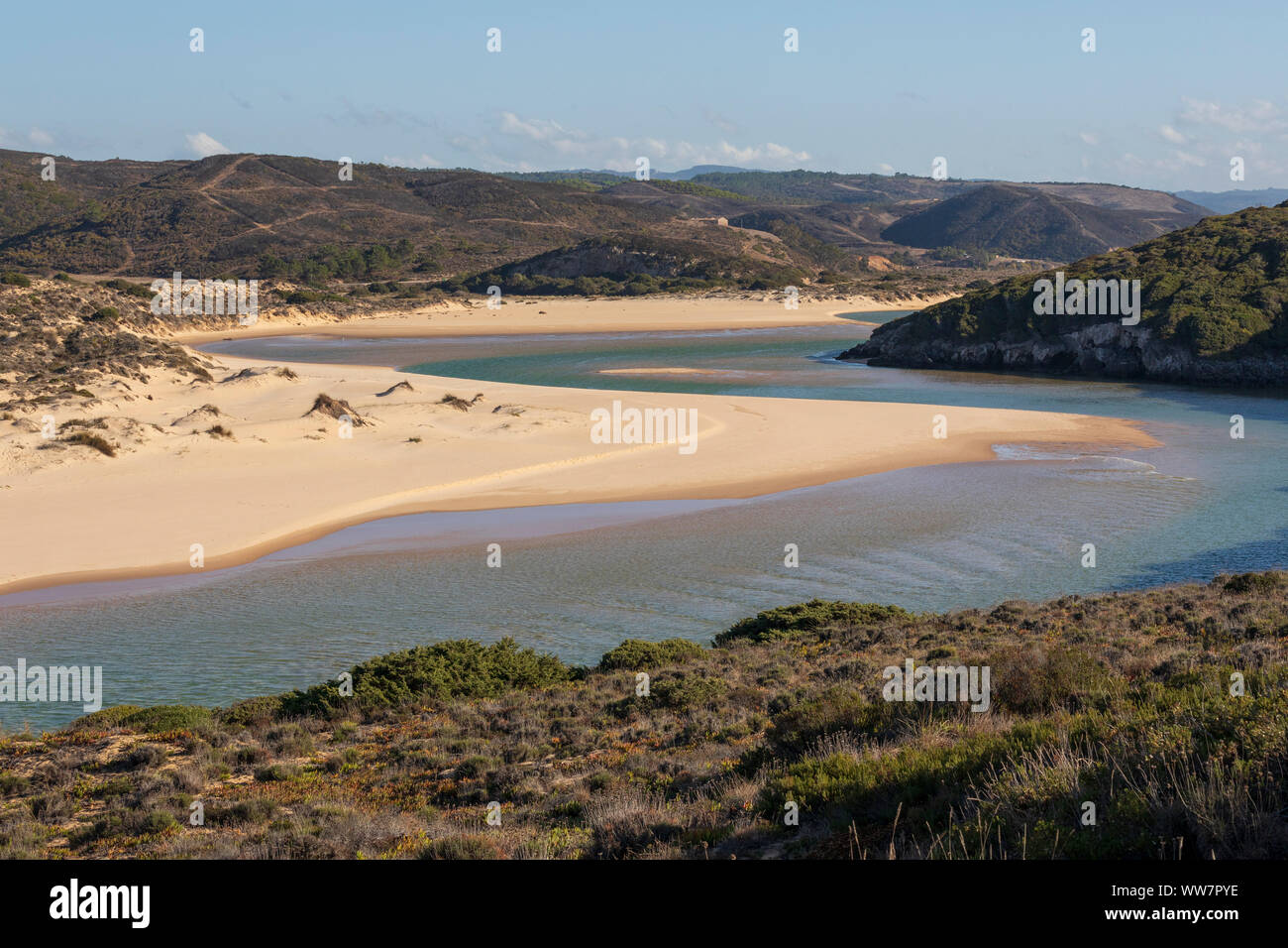 Amoreira hi-res stock photography and images - Alamy