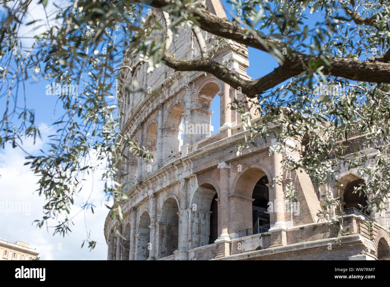 Italy, Rome, Coliseum Stock Photo - Alamy