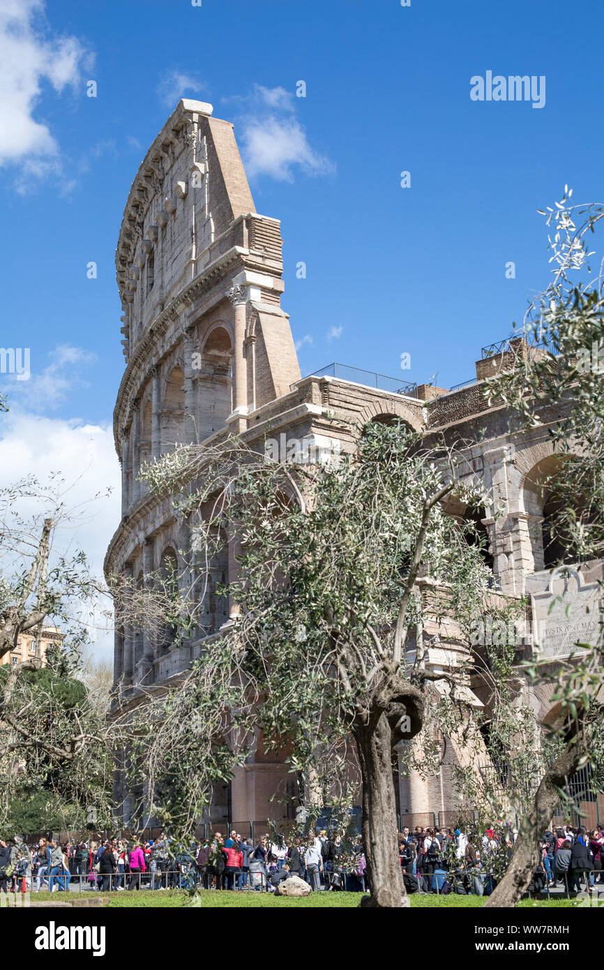 The coliseum centre hi-res stock photography and images - Alamy