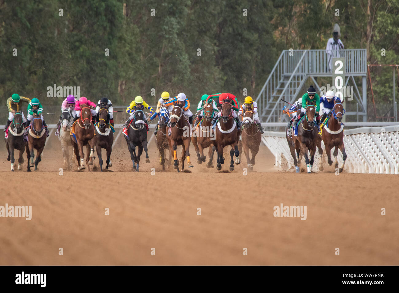 Horse racing at King Khlid Racetrack, Taif, Saudi Arabia 14/06/2019 ...
