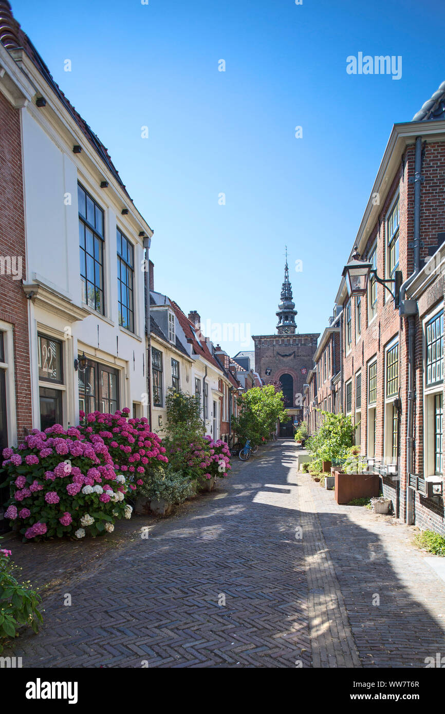 Haarlem sea hi-res stock photography and images - Alamy