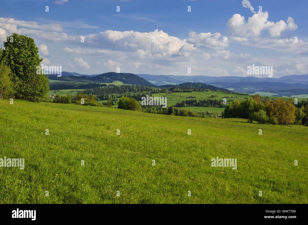 Beautiful mountain spring landscape. Picturesque valley and green hills ...