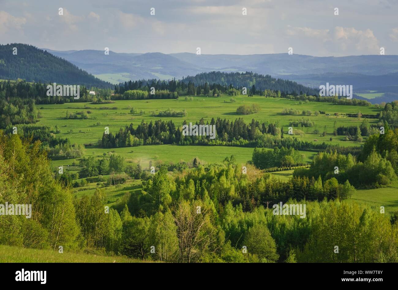 Beautiful mountain spring landscape. Picturesque valley and green hills ...
