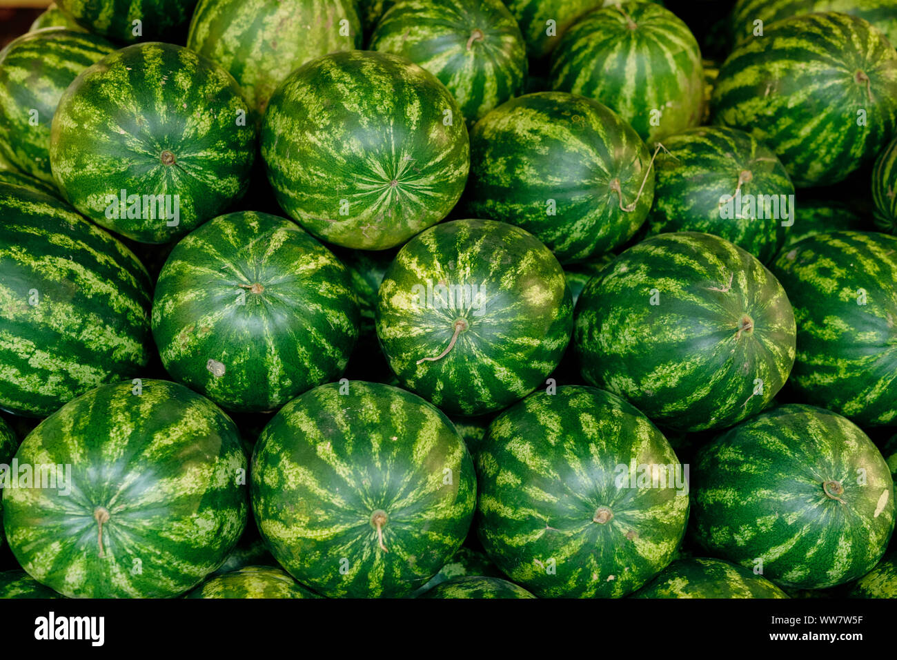 Pile of big ripe green watermelons in supermarket Stock Photo - Alamy