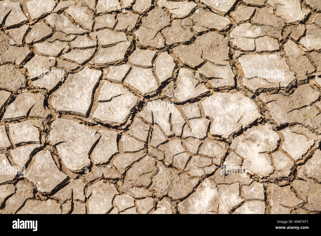 Chalk circle ground hi-res stock photography and images - Alamy