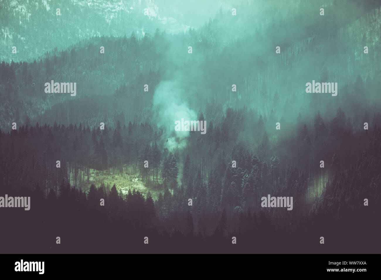 A fire with billows of smoke above a forest Stock Photo - Alamy