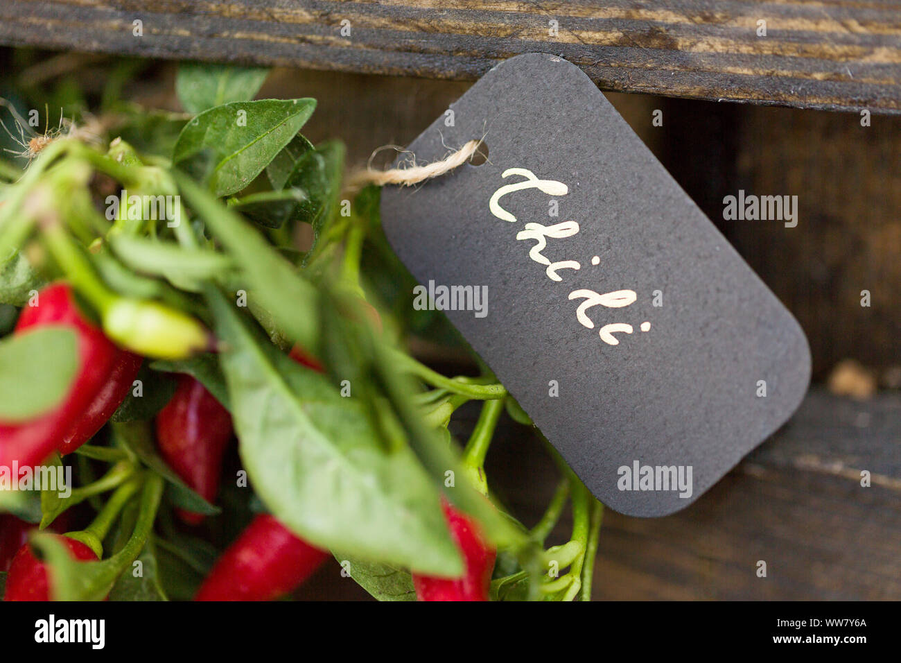 Chilli sign hi-res stock photography and images - Alamy