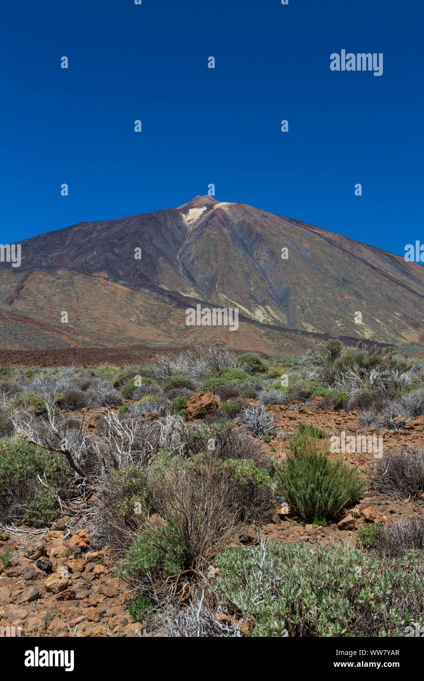 Volcano Pico del Teide, 3718 m, the highest mountain of Spain, volcano ...