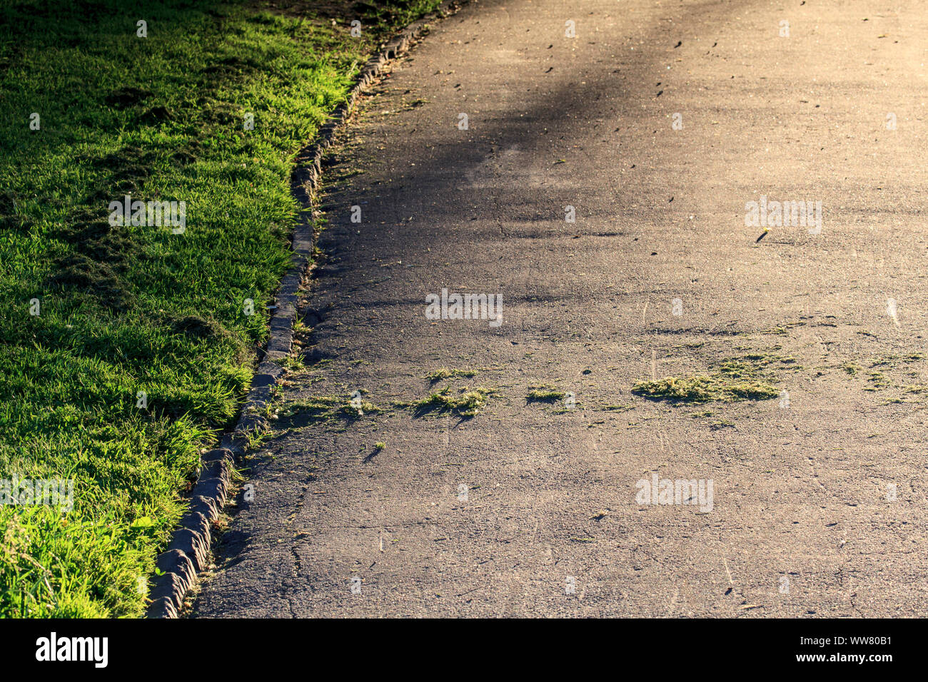 Path, freshly mowed grass Stock Photo - Alamy