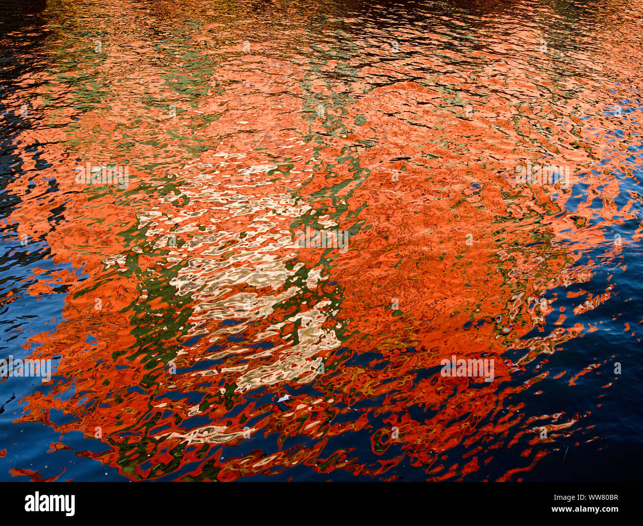 Actinism in water hi-res stock photography and images - Alamy