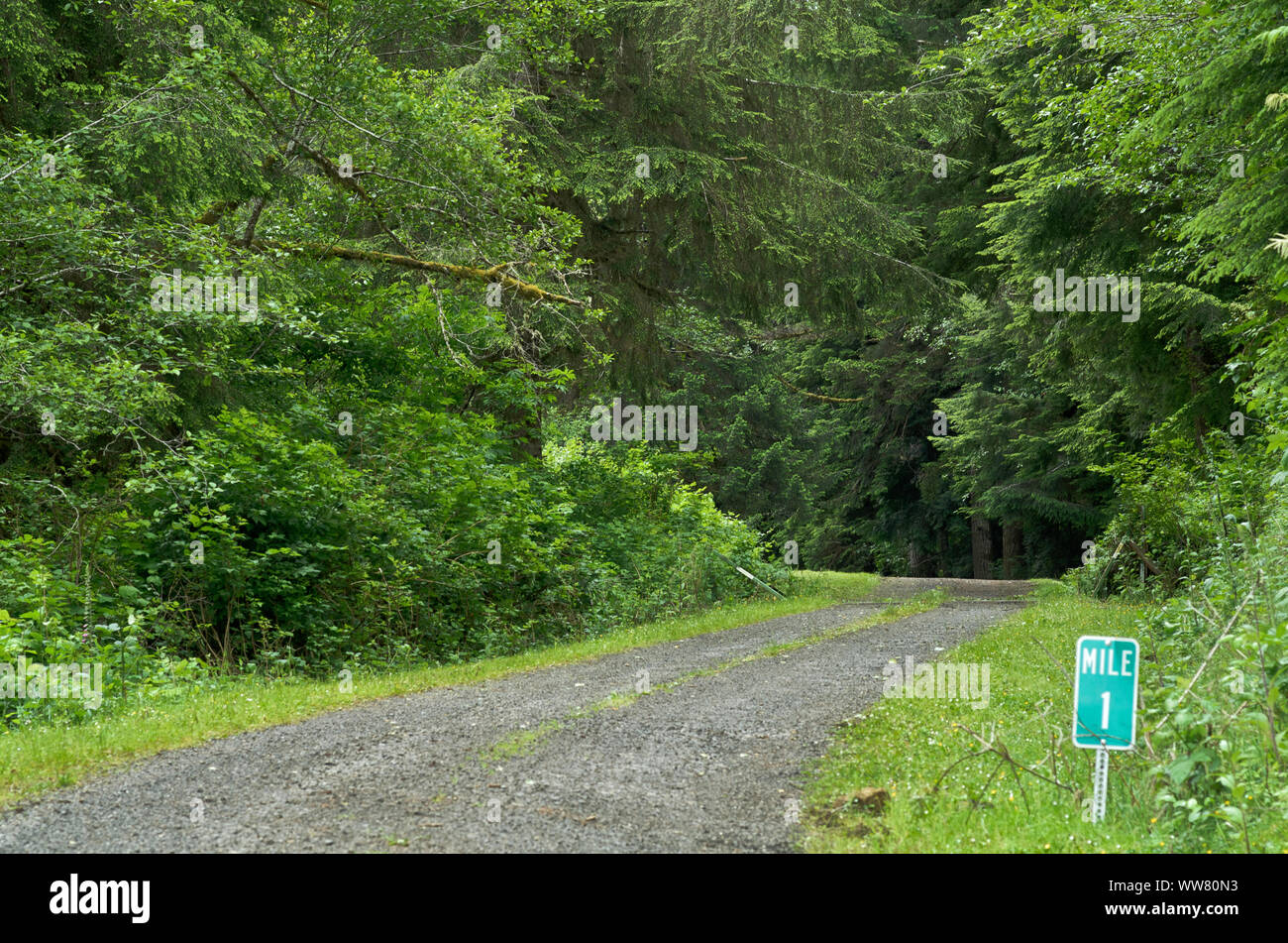 The end of a gravel road is marked with a highway milepost sign ...