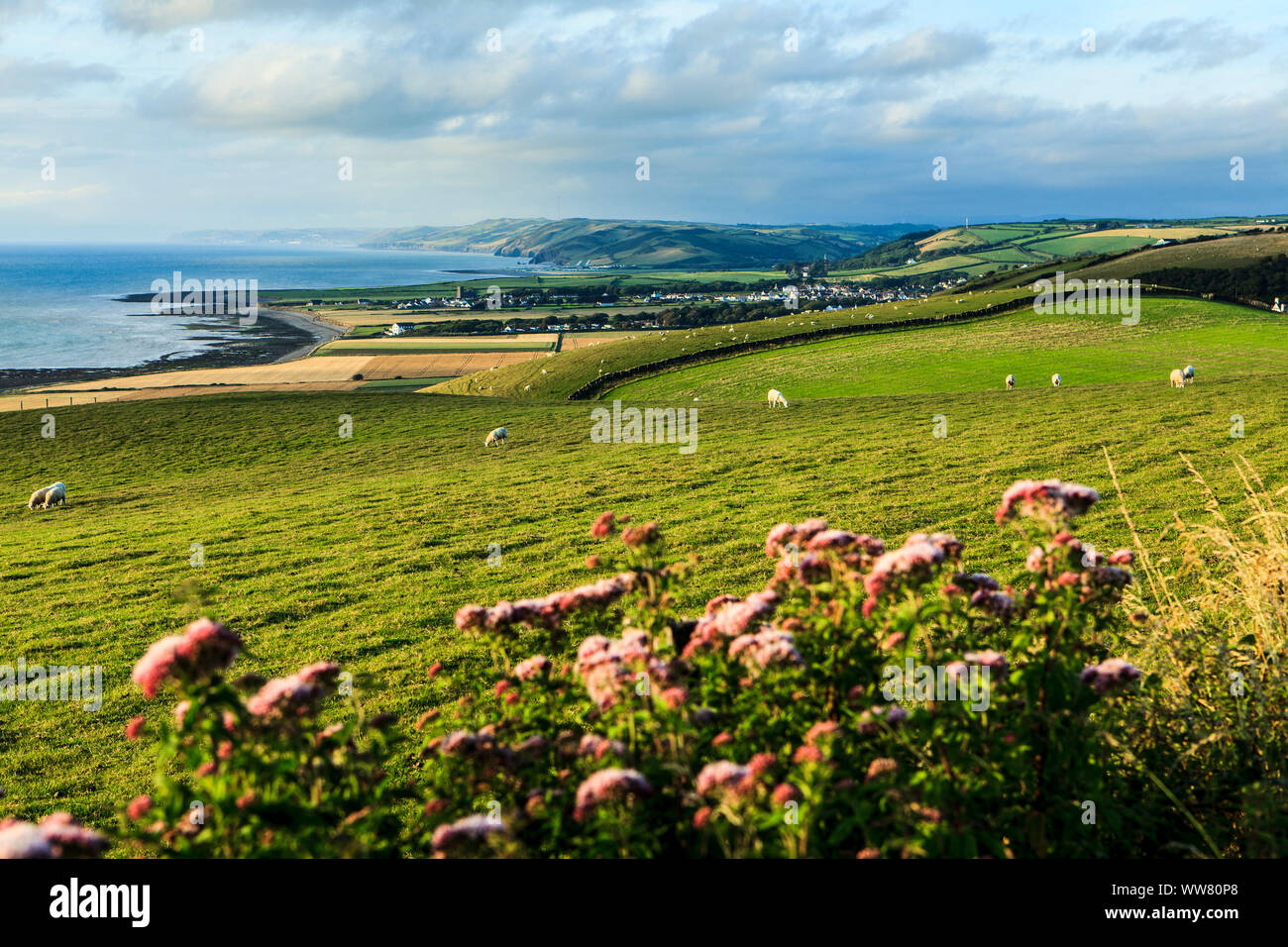 Landscape in Wales, Great Britain Stock Photo - Alamy