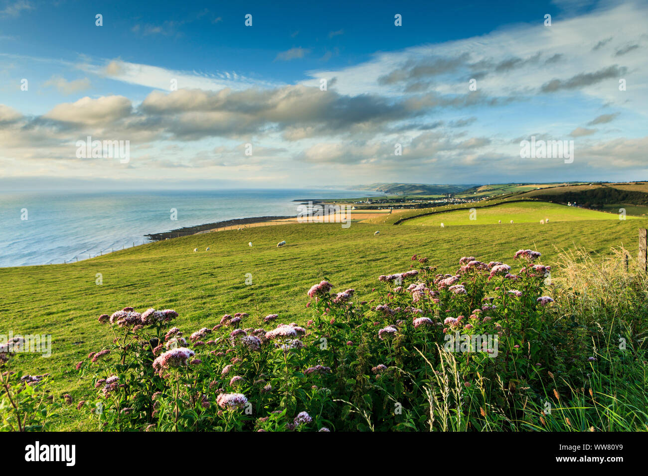 Landscape in Wales, Great Britain Stock Photo - Alamy