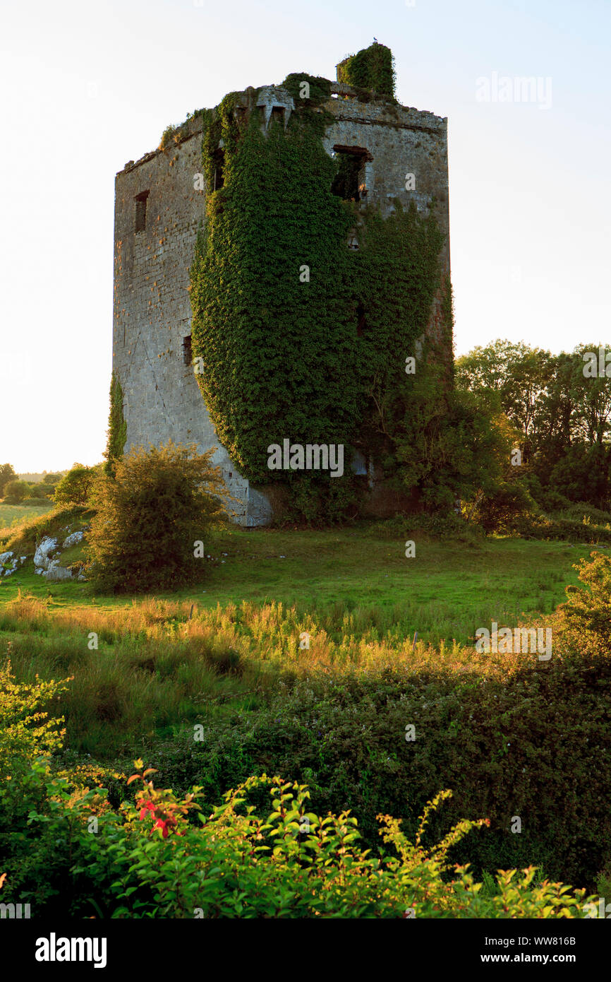 Old castle ruins in Limerick, Ireland Stock Photo - Alamy