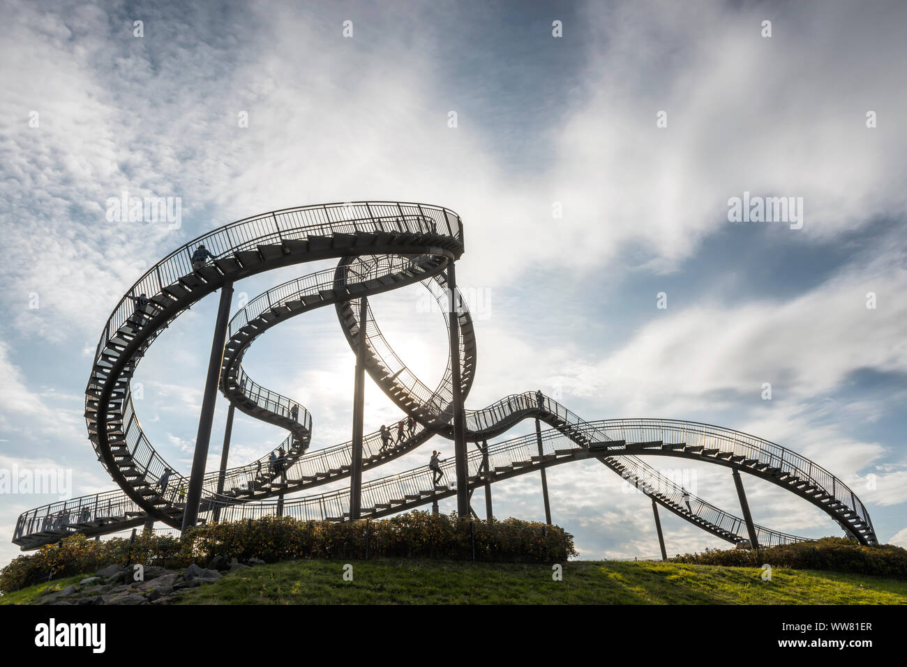 Tiger and turtle magic mountain hi-res stock photography and images - Alamy