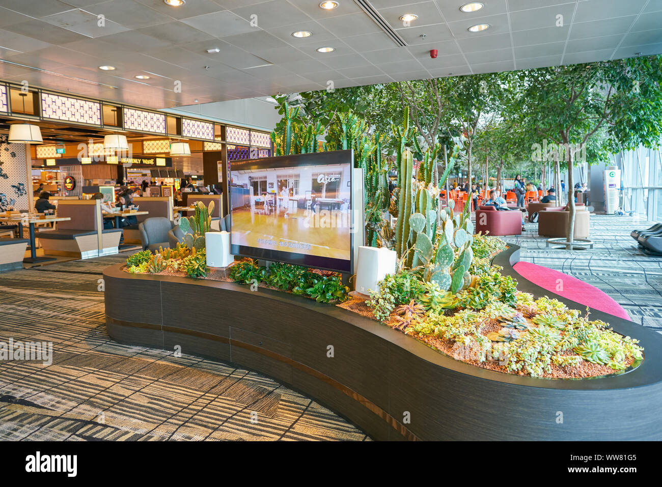 SINGAPORE - CIRCA APRIL, 2019: interior shot of Singapore Changi ...