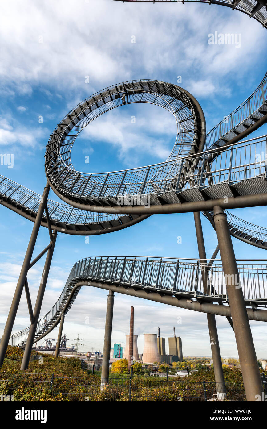 Turtle art photo hi-res stock photography and images - Alamy