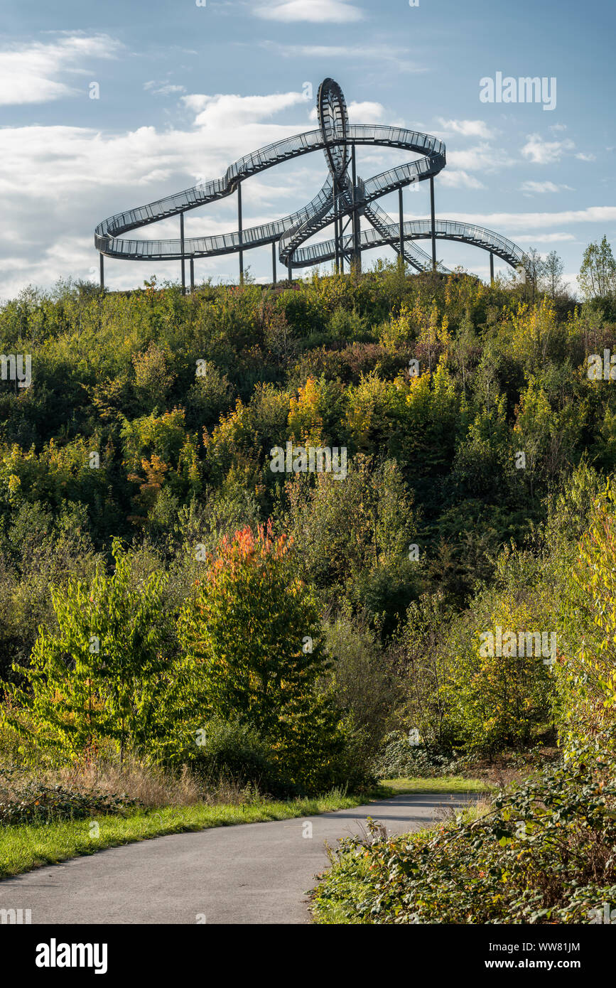 Meal tiger hi-res stock photography and images - Alamy