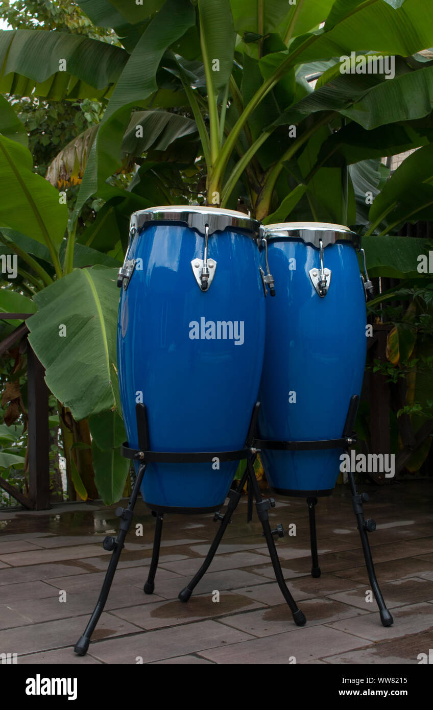 two congas in front on a background of palm trees Stock Photo - Alamy