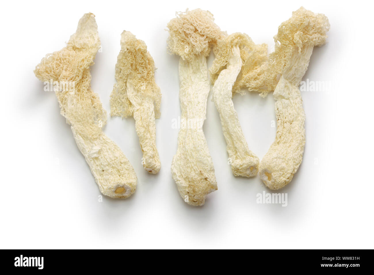 dried bamboo mushrooms, chinese food ingredient Stock Photo - Alamy