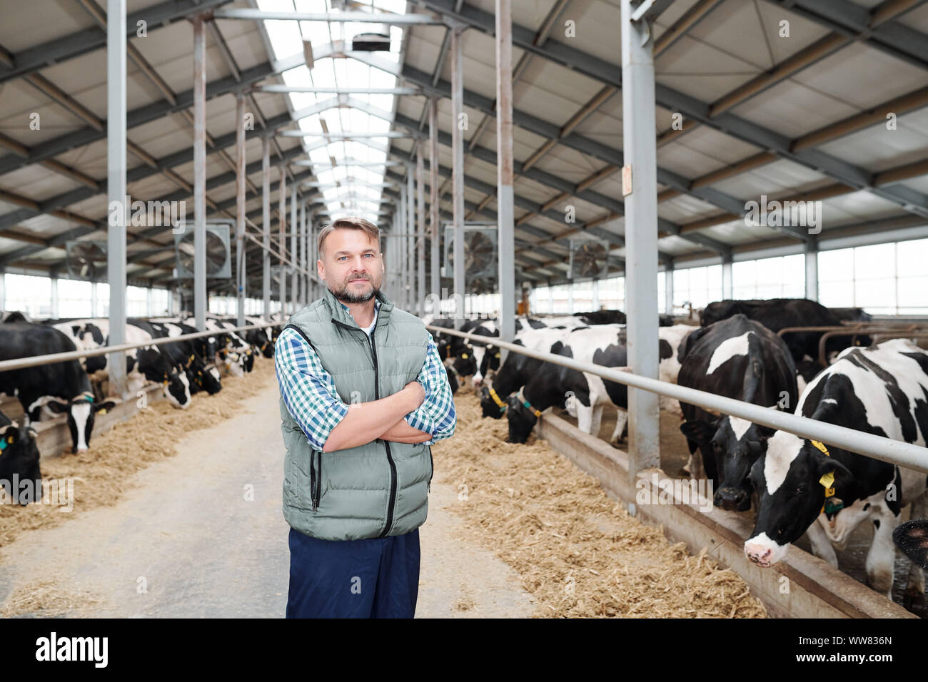 Inside farm shed hi-res stock photography and images - Alamy