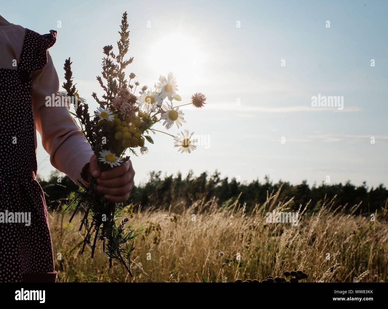 Hand holding bunch wildflowers hi-res stock photography and images - Alamy