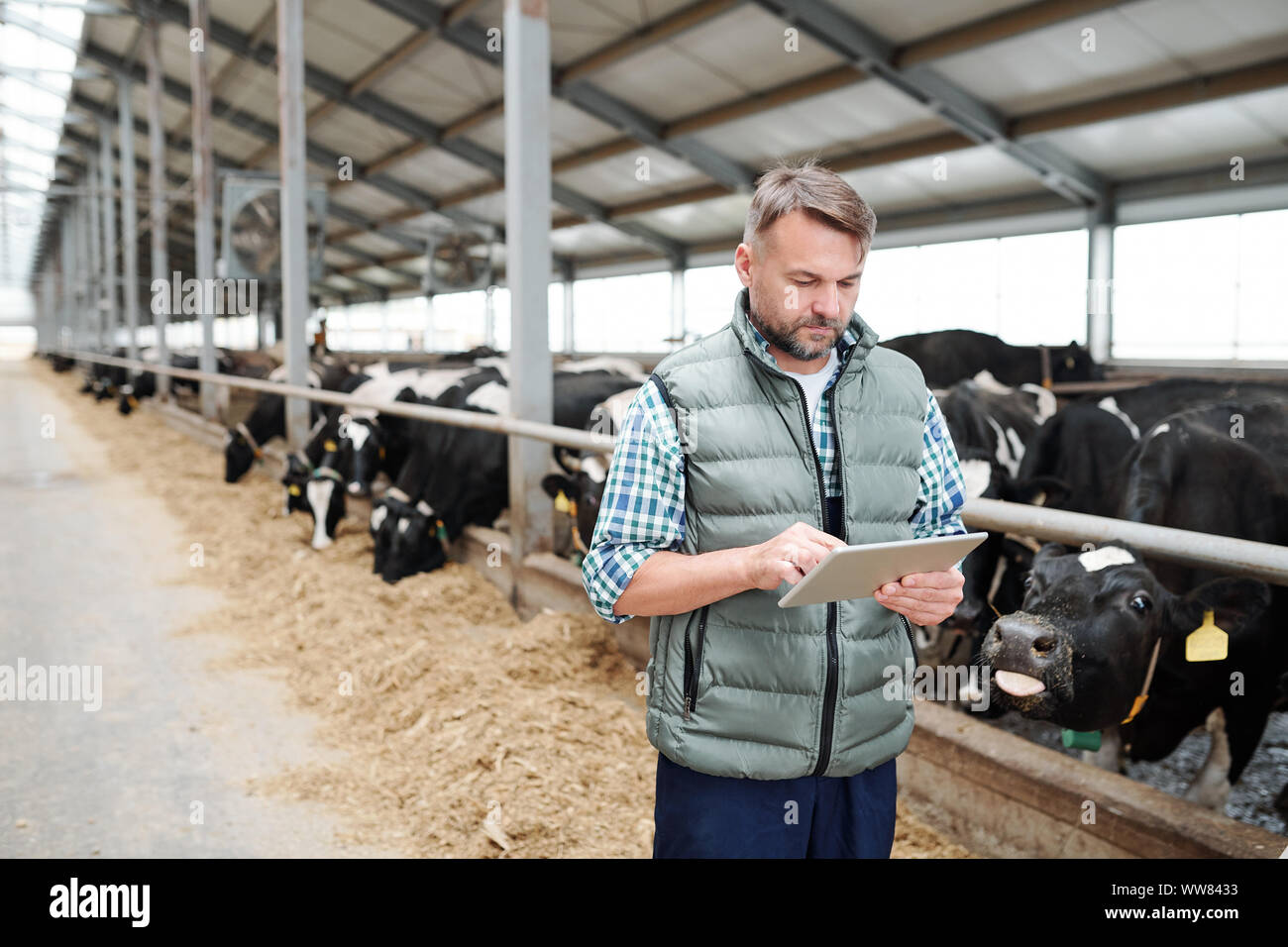 Digital farm animals hi-res stock photography and images - Alamy
