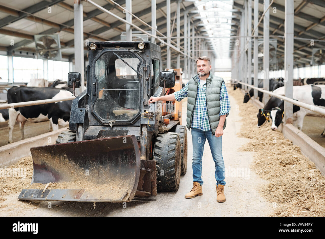 Mature confident worker of modern farmhouse standing by working ...