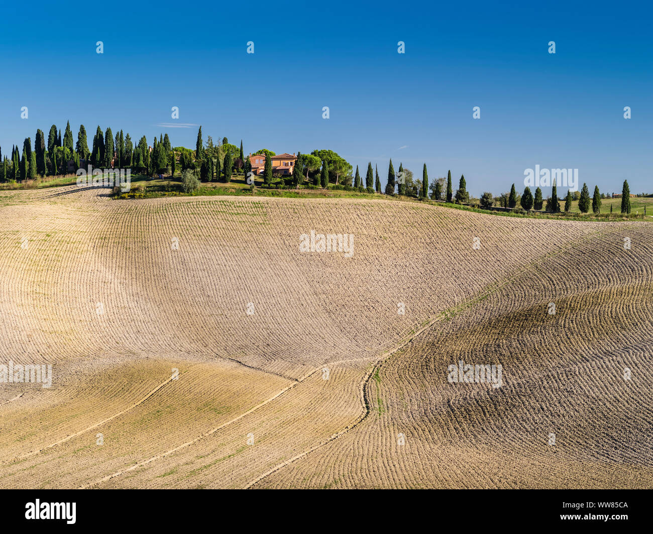 Siena city landscape historical street hi-res stock photography and ...