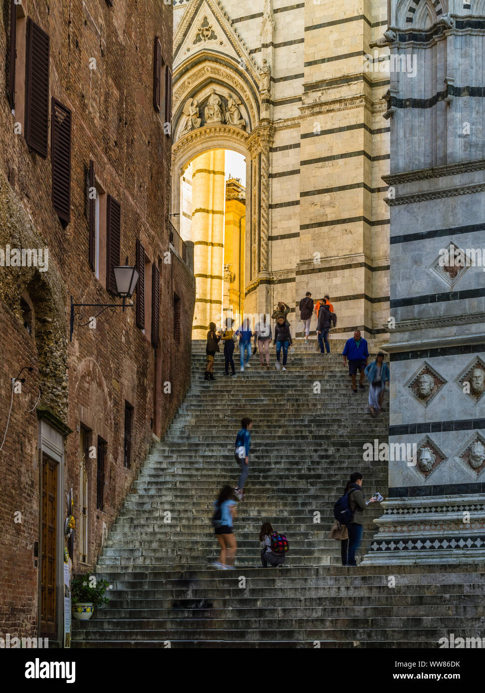 Stairs to the Duomo di Siena Stock Photo - Alamy
